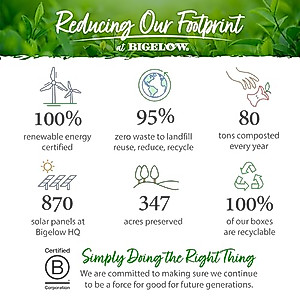 Bigelow Botanicals Cold Water Herbal Infusion Variety Pack, Caffeine Free, 18 Count (Pack of 6), 108 Total Tea Bags