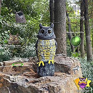 Owlsome Solar Owl with Flashing Eyes, Rotating Head, Hoot Sound, Motion Detector and Silent Mode, Plastic Owl Garden Sculpture, Garden Decoration