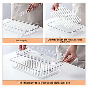 2 Pcs Bacon Storage Container for Refrigerator with Tong, Bacon Deli Meat Storage Container with Perforated Tray for Freshness, Clear Plastic Meat Saver for Fridge Food