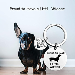 Lywjyb Birdgot Dachshund Gift Wiener Dog Gift Dog Mom Gift Dachshund Lovers Jewelry Proud to Have a Little Wiener Keychain Pet Dog Gift (Wiener dog ky)