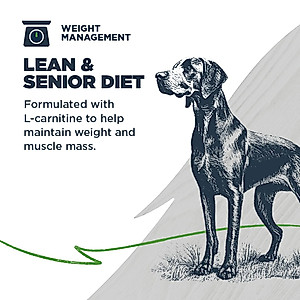 Blackwood Lean/Senior Dry Dog Food, Chicken Meal with Ancient Grains, 4.5 Pound Bag for Weight Management and Muscle Mass Maintenance