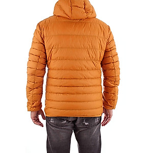 The Stars of Russian Bayan-PC [Import]