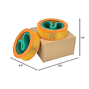 Gewxgzo 394018 Air Filter for B&S 392642 394018S 5050H 5050B 4135 421400 402400 JD LG394018JD GT235 GT235E LTR155 LTR166 LT166 LT170 LX288 SST16 SST18 Lawn Mower(2 Pack)