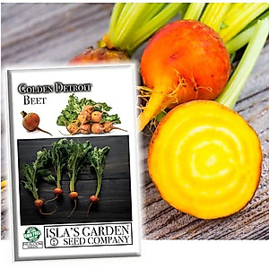 Golden Detroit Beet Seeds for Planting, 100+ Heirloom Seeds Per Packet, (Isla's Garden Seeds), Non GMO Seeds, Botanical Name: Beta vulgaris, Great Home Garden Gift