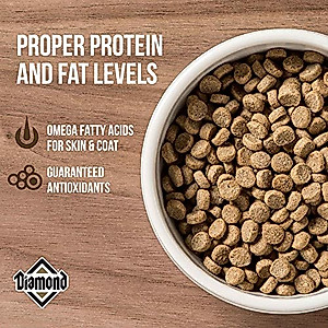 Diamond Adult Dry Cat Food Maintenance Formula with Protein, Probiotics and Antioxidants
