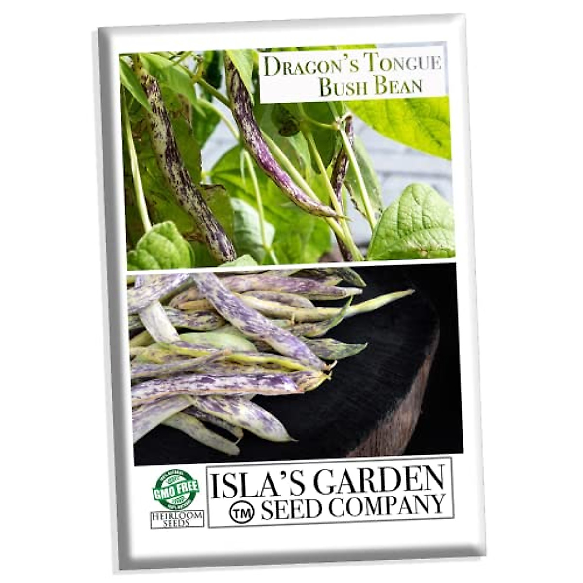 Dragon's Tongue Bush Bean Seeds for Planting, (Dragon Langerie), 25+ Heirloom Seeds Per Packet, (Isla's Garden Seeds), Non GMO Seeds, Scientific Name: Phaseolus vulgaris, Great Home Garden Gift