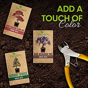 Bonsai Starter Kit - Gardening Gift for Women & Men - Bonsai Tree Growing Garden Crafts Hobby Kits for Adults, Unique DIY Hobbies for Plant Lovers