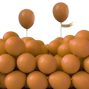 PartyWoo Caramel Brown Balloons, 120 pcs 5 Inch Boho Brown Balloons, Matte Brown Balloons for Balloon Garland Balloon Arch as Party Decorations, Birthday Decorations, Wedding Decorations, Brown-F10