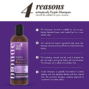 Artnaturals Purple Shampoo for Blonde Hair - 12oz Sulfate Free & No Parabens Protects & Balances Color Tones Gray, Silver, Brunette, Highlights, Dyed or Bleached Hairs - Prevents Brassy Yellow