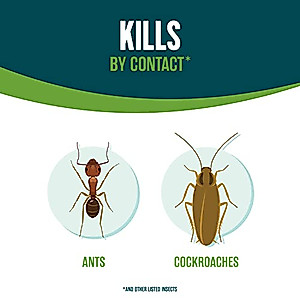 Ecologic Eco-Logic Ant & Roach Killer, Pack of 12