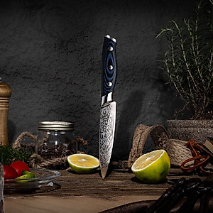 FANTECK 5 Inch Utility Knife, Japanese Damascus VG10 67 Layer Kitchen Fruit Paring Chef Utility Knives -Blue G10 Handle,-Razor Sharp, Stain & Corrosion Resistant, & Awesome Edge Retention