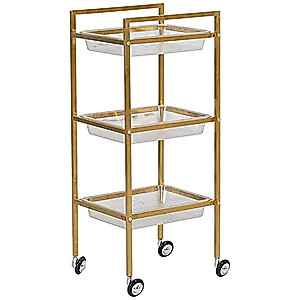 Utility Cart Lab Serving Cart, Medical Cart 3 Shelf Large Beauty Salon Trolley Cart Spa Storage Tray Therapy Dentist Hairdresser Treatments, Stainless Steel Tray Trolley,Care Dressing Medical Cart (C