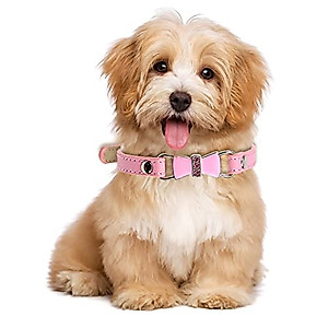 Personalized Dog Collars with Bling Rhinestone Pet Custom Padded Pu Leather Dog Collar for Small Size