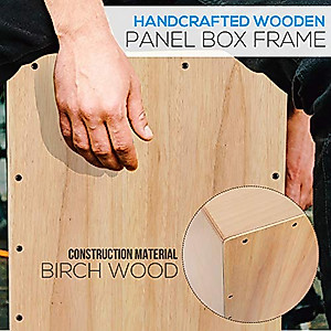 Pyle Wooden Hand Drum Percussion Beat Box-Hybrid Electronic Style Acoustic E-Cajon w/Built-in Pickup Connector, Internal Guitar Snare String PCJD50