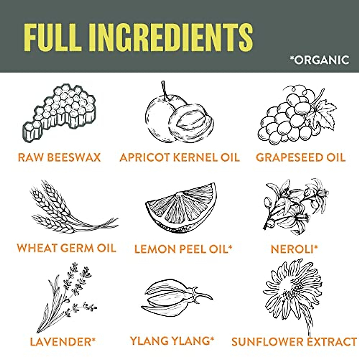 climbOn All Purpose Lotion Bar | Organic Body Lotion for Dry Skin | Body Moisturizer | Lavender Lotion Made From Plants and Organic Beeswax | Eco-Friendly and Plastic-Free Lotion | Original Scent