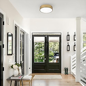 erpymi Modern Gold Flush Mount Ceiling Light, 2-Lights Round Ceiling Light, Minimalistic Ceiling Lamp Acrylic Shade Lighting Fixture for Bedroom Laundry Room Bathroom Hallway(11.8 Inch)