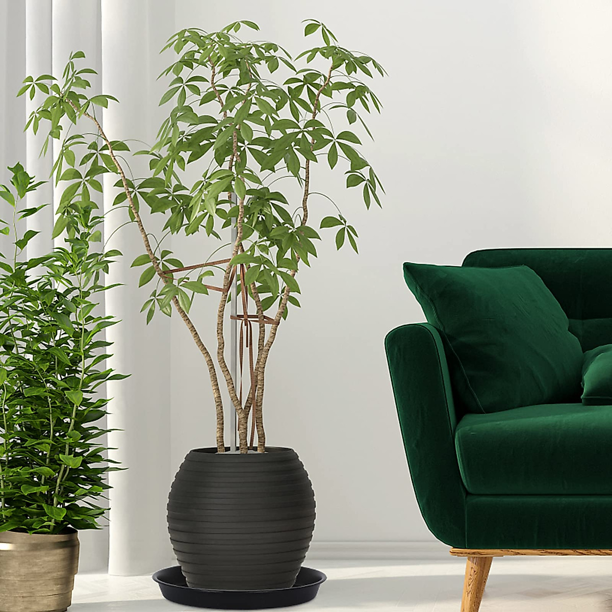 NABAOXUN 6Pack 8,10,12Inch Plastic Drip Trays Plant Saucers for Indoors Outdoor Plant, Thick Heavy Durable Sturdy Flower Pot Trays for Pots Planter, Black…