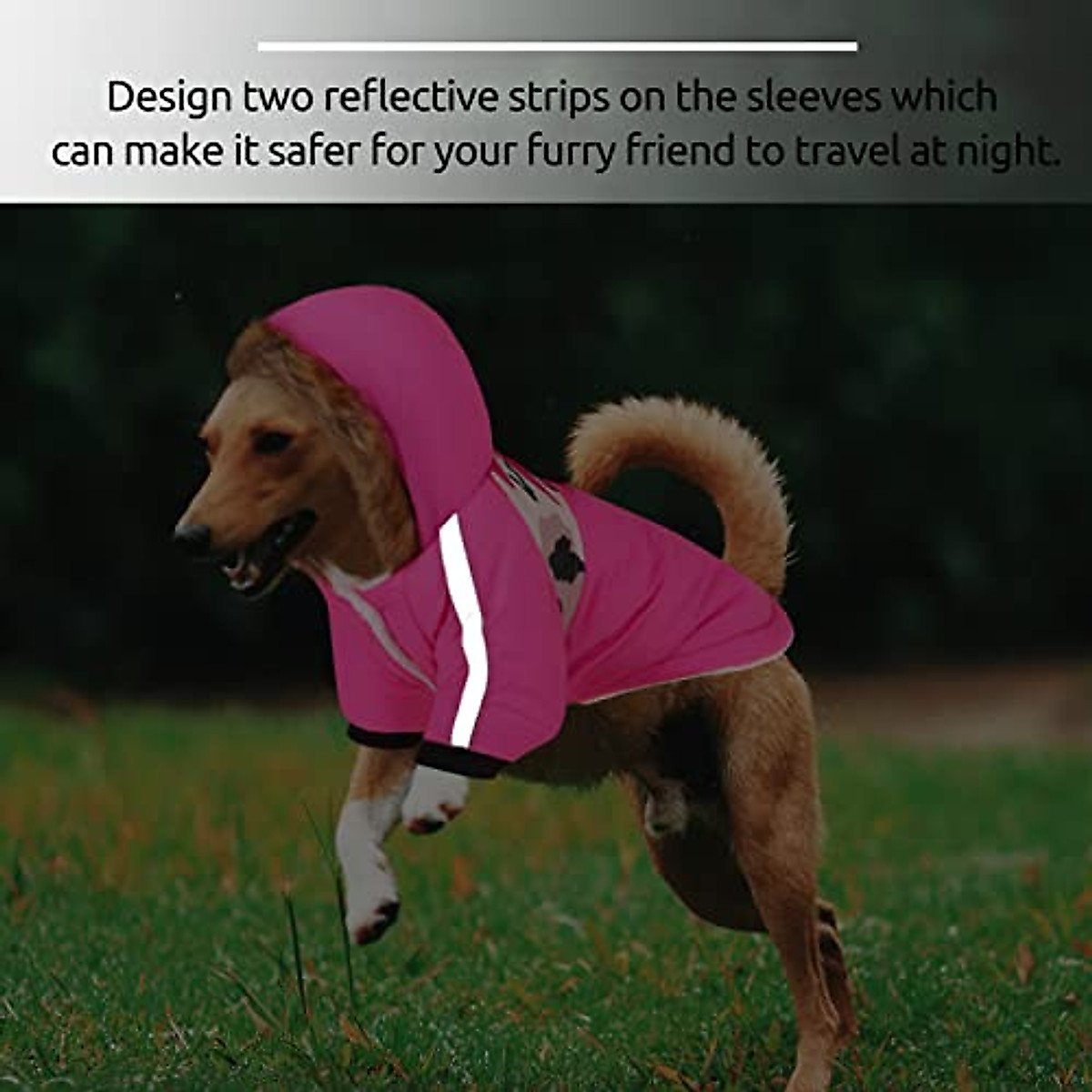 Queenmore Warm Dog Winter Coat, Cold Weather Waterproof Dog Snow Jacket, Reflective Dog Hoodie with Long Sleeves for Small Medium and Large Dogs