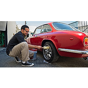 Chemical Guys Acc_S31 Ferret Wheel/Rim/Engine Brush, 1 Pack