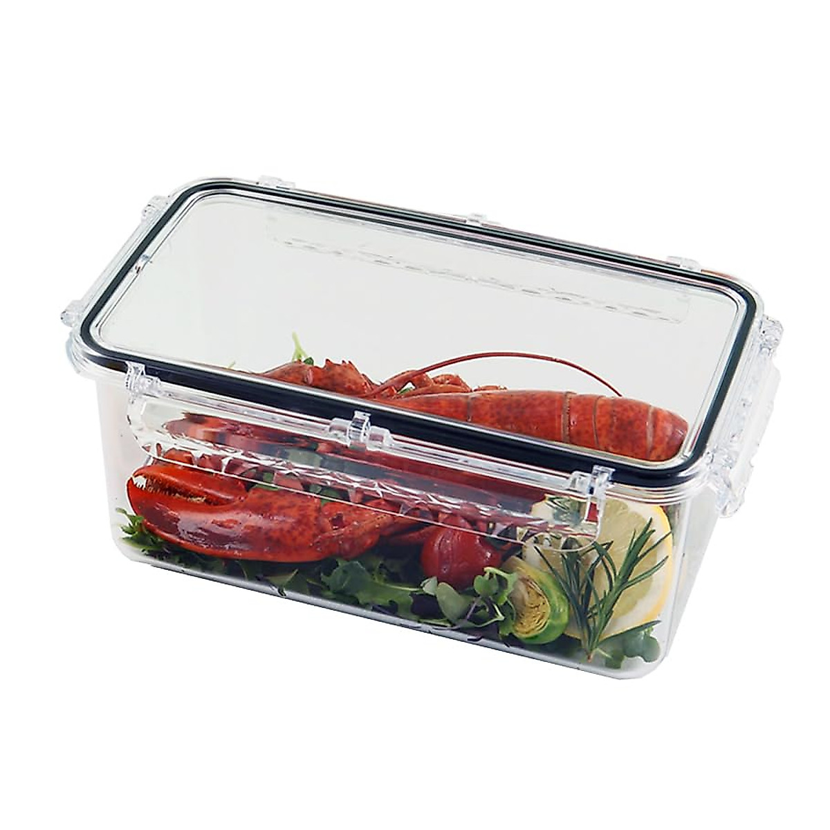 gotman Airtight Food Storage Container With Lid (91.3oz) BPA-Free | Meal Prep | Microwave, Freezer and Dishwasher Safe | Leak-Proof | Kitchen Fridge Organizer Boxes | Fresher Food