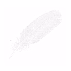 Derek Lam 10 Crosby Silent St. Eau De Parfum Musky and Floral Scent Spray Perfume for Women, 5.9 Fl Oz