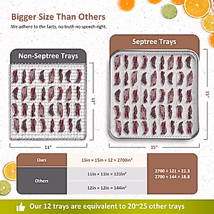 Ausegia Commercial Large 12 Trays Food Dehydrator, Usable Area up to 22.67ft², 1200W Full Stainless Steel Dryer Machine, up to 190℉ Temperature, for Meat, Fruit, Beef, Herbs, and Pet Food