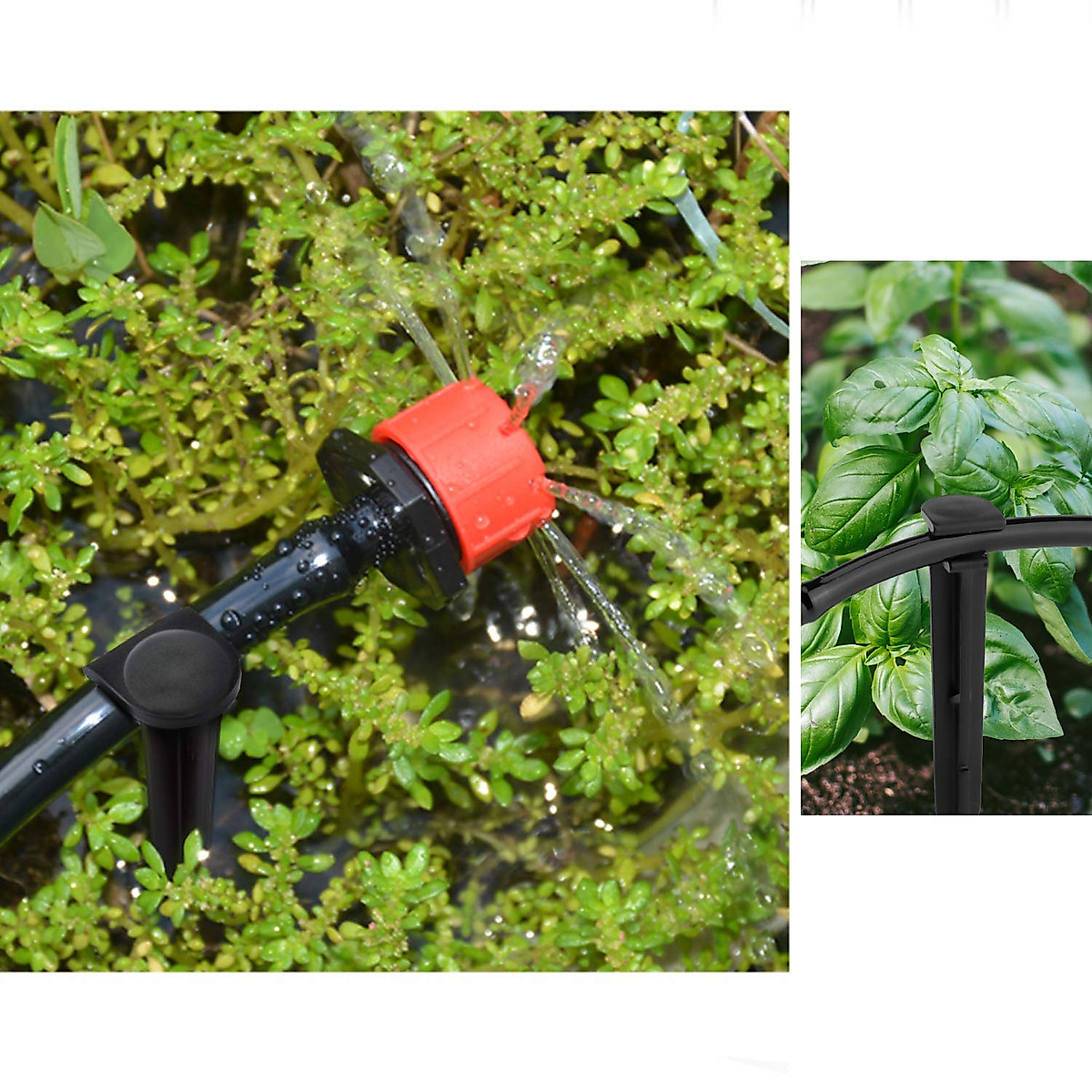 LUTER 50pcs Irrigation Drip Support Stakes Plastic for 1/4" Drip Lines Tubing Hose for Gardens, Flowers, Plants, Vegetable