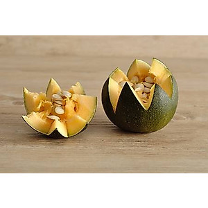 Keyfit Tools PROFESSIONAL Pumpkin Carving Knife Adult Use Only Extra Sharp Heat Treated Blue Steel Blade Halloween Jack O' Lantern Gourd Fruit Carver Knife