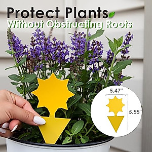 Classy Casita Yellow Sticky Traps - Fungus Gnat Trap, Houseplant Fly Control, Indoor and Outdoor Plant Insect Stakes, Potted Plants Mosquito Pest Bugs Catcher, Gifts for Plant Lovers - 24-Pack