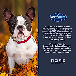 Barkworthies Harvest Buffet Collagen Sticks (6-Inch, 3-Count) - Great Tasting, Easily Digestible, Variety Pack, Dog Chew