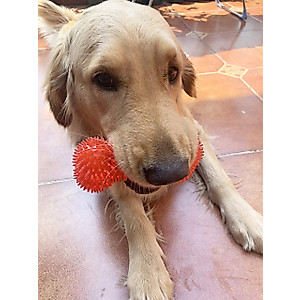 Dog Squeaky Toys Value Set Non-Toxic Dog Squeaky Balls for Dogs Toss Fetch Toys for Dogs TPR Rubber Puppy Toys Spikey Dog Chew Toys for Small Medium Dogs Pet Toys for Puppy Dog Teething Toys