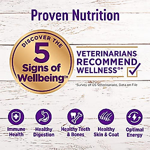 Wellness Complete Health Dry Dog Food with Grains, Natural Ingredients, Made in USA with Real Meat, All Breeds, For Adult Dogs (Chicken & Oatmeal, 30-Pound Bag)