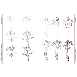 Draw Like an Artist: 100 Flowers and Plants: Step-by-Step Realistic Line Drawing * A Sourcebook for Aspiring Artists and Designers (Volume 2) (Draw Like an Artist, 2)
