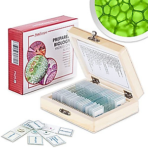 AmScope PS25 Prepared Microscope Slide Set for Basic Biological Science Education, 25 Slides, Includes Fitted Wooden Case Brown