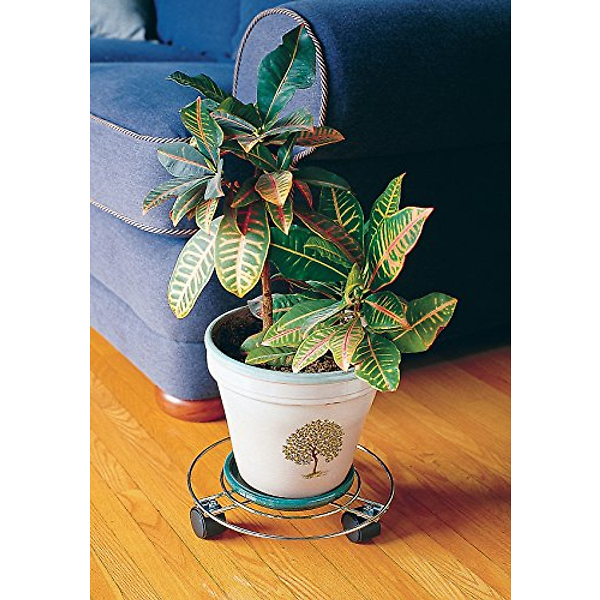 Shepherd Hardware 8199 Planter Caddy Dolly, Chrome Finish, 120-lb Load Capacity, 1-1/2-Inch Casters