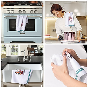 R HORSE 5Pcs Kitchen Dish Towel Funny Joked Themed Dishcloth Absorbent Dish Tea Towel Retro Sassy Lady Kitchen Towel Bar Hand Dishcloth Hilarious Hand Towel Gift for Hostess Mom Women Housewarming