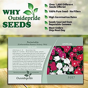 Outsidepride Vinca Periwinkle Victory Garden Flower, Ground Cover, & Container Plant Mix - 200 Seeds