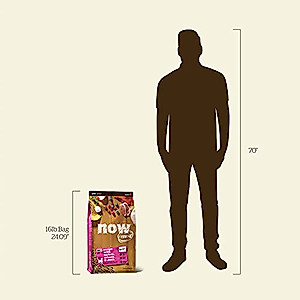 Now Fresh Dry Cat Food, Turkey, Salmon and Duck Recipe, 16 lbs - Grain Free Cat Food, Made with Real Meat and Fish