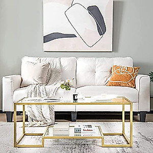 NAFORT Tempered Glass Coffee Table, 45 Inch Gold Rectangular Modern Center Table with Lower Storage Shelf, Sturdy Metal Frame, for Living Room Home Office/Gold