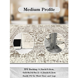 Lahome Boho Washable 3x5 Rug Entryway Rug, Bohemian Soft Small Rugs for Bathroom Bedroom, Beige Kitchen Rugs Non-Slip Non-Shedding, Low-Pile Indoor Floor Carpet for Bedside Dorm