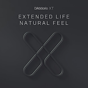 D'Addario Guitar Strings - XT 80/20 Bronze Coated Acoustic Guitar Strings - XTABR1253 - Extended String Life with Natural Tone & Feel - For 6 String Guitars - 12-53 Light
