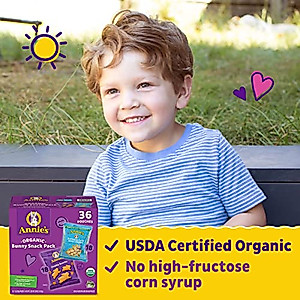 Annie's Organic Birthday Cake Bunny Grahams and Cheddar Bunnies Snack Pack 36 Count, 36 oz