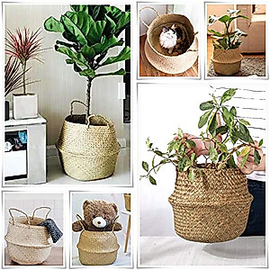 BeeGreeny Seagrass Belly Basket | Handwoven Foldable Storage Basket with Handles for Laundry, Picnic, Pot Cover, Decor | Natural, Eco-Friendly Household Items