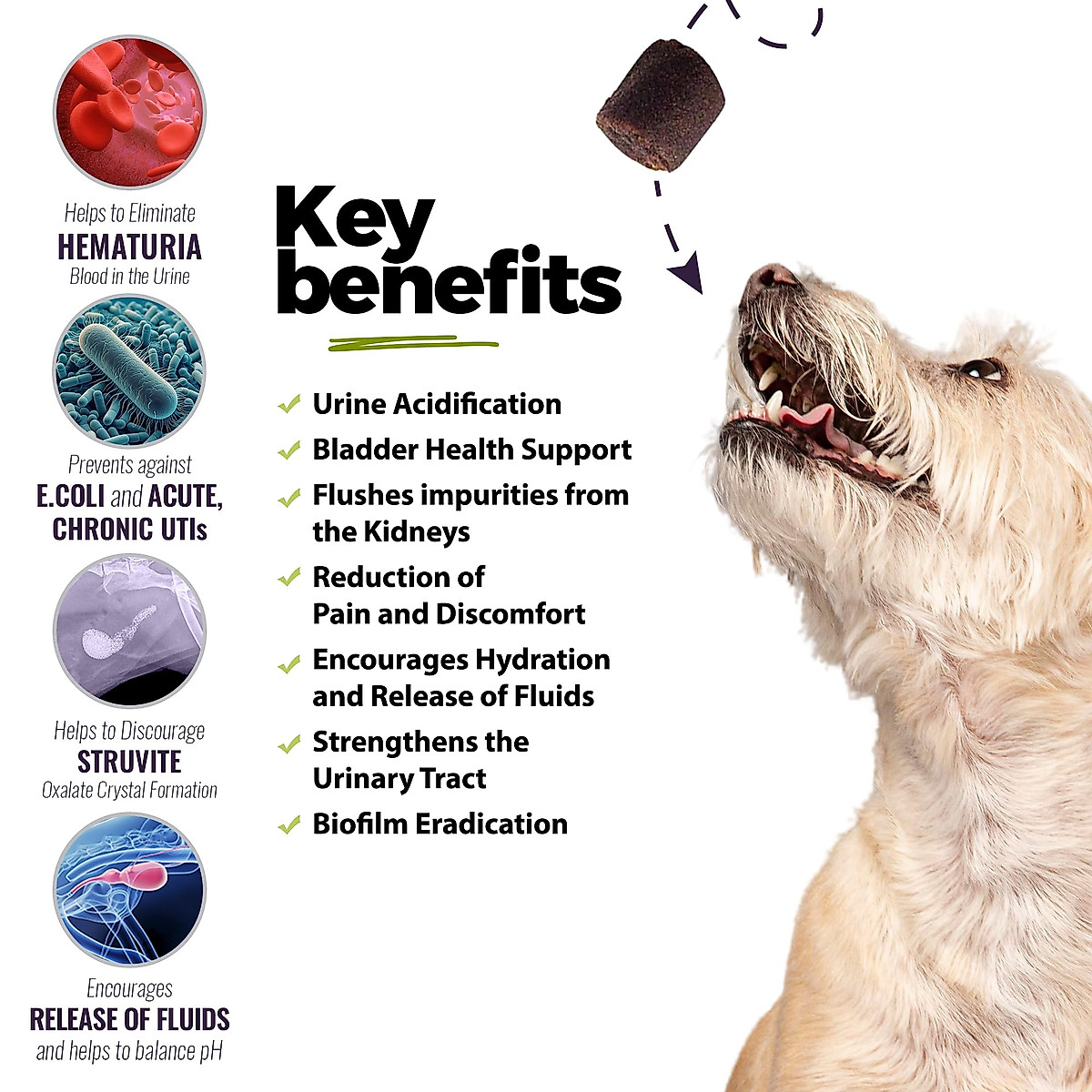 UroMAXX Dog Urinary Tract Infection Treatment, Bladder & Kidney Support for Dogs, Powerful Pet Care, Natural Soft Chews with Cranberry & Glucosamine, Made in The USA, Chicken Flavor, 90 Count, 1 Pack