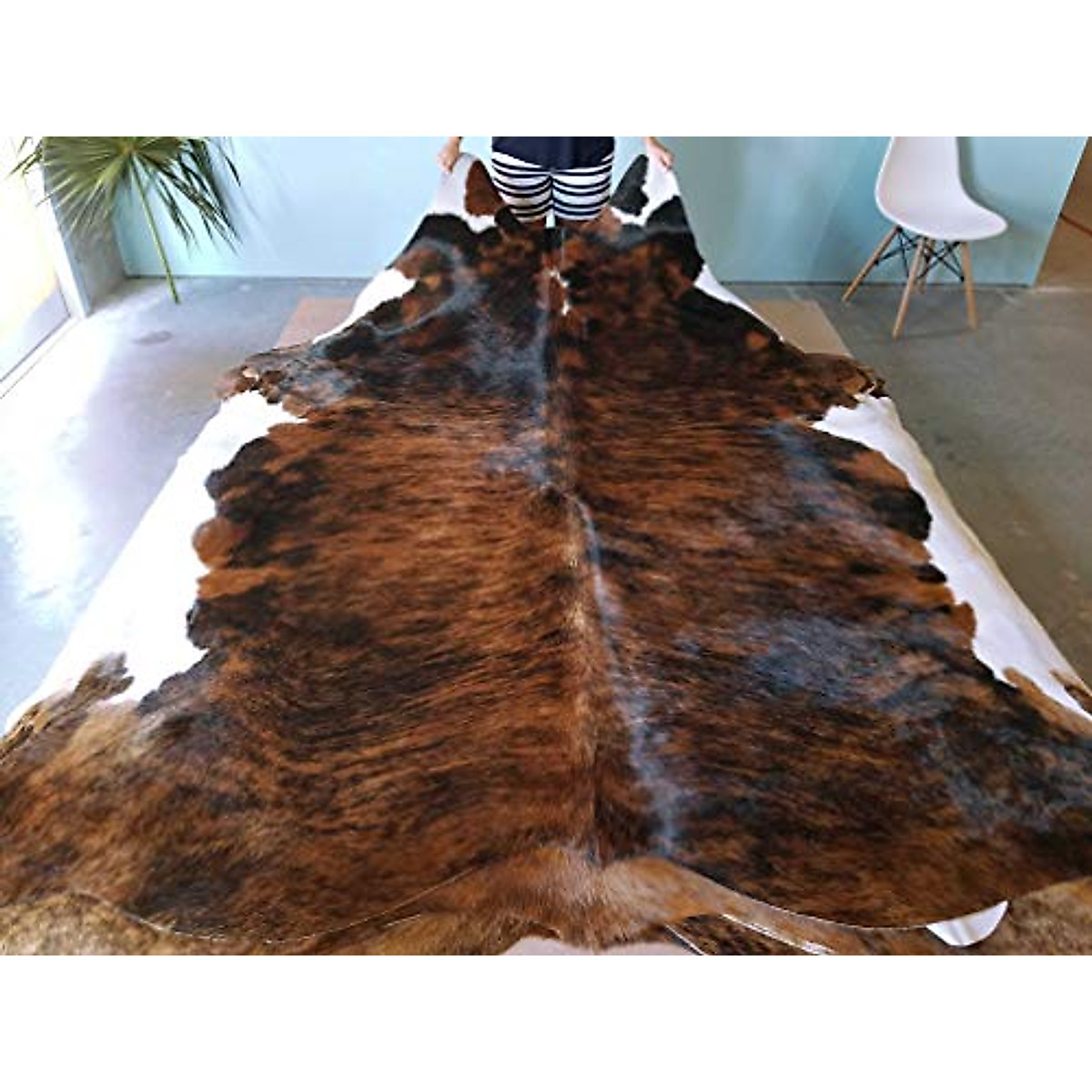 ecowhides | Genuine Cowhide Rug, Cowskin, Brindle White Belly, Western Home Decor, Premium Quality, Living Room Accessories, (X-Large) 7 x 6 ft