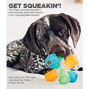 Outward Hound Triple Jack Interactive Multi-Squeak Dog Toy