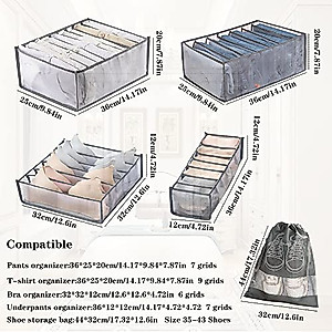 LRIFUE Drawer Organizers for Clothing, Mesh Underwear Drawer Organizer Clothes with Shoe Storage, 4PCS Wardrobe Clothes Organizer Underwear Bra Sock Organizer Halloween Bags for Women