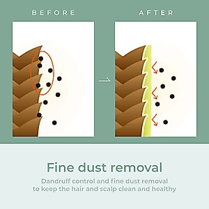 AMOS PROFESSIONAL Pure Smart Shampoo [Fresh – For Oily Scalp] 17.6oz (500g) | Sebum Care & Scalp Soothing | Korean Hair Salon Brand