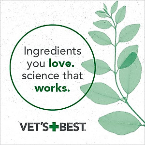 Vet's Best Medicated Oatmeal Shampoo for Dogs | Soothes Dog Dry Skin | Cleans, Moisturizes, and Conditions Skin and Coat | 16 Ounces