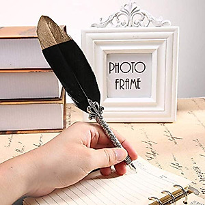 SpyShop Feather Quill Pen with Ink Set -5pcs Metal Nibs 1 Sliver Handmade Pen Holder and 15ml Black Bottle Ink (Black)